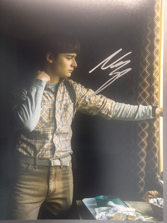 Noah Schnapp Stranger things 10x8 Signed in Silver Pen – Showmasters ...