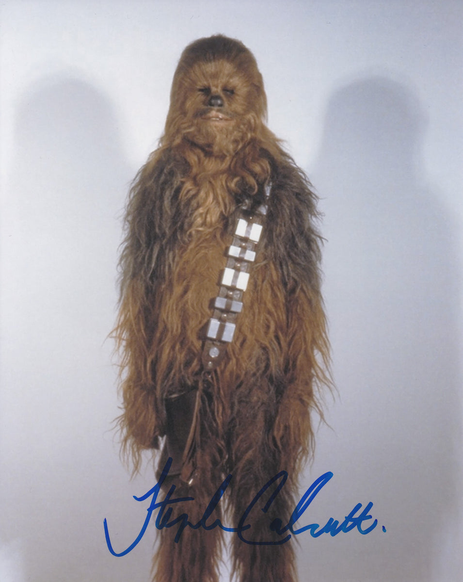 Stephen Calcutt 10x8 signed in Blue Star Wars Return of the Jedi ...